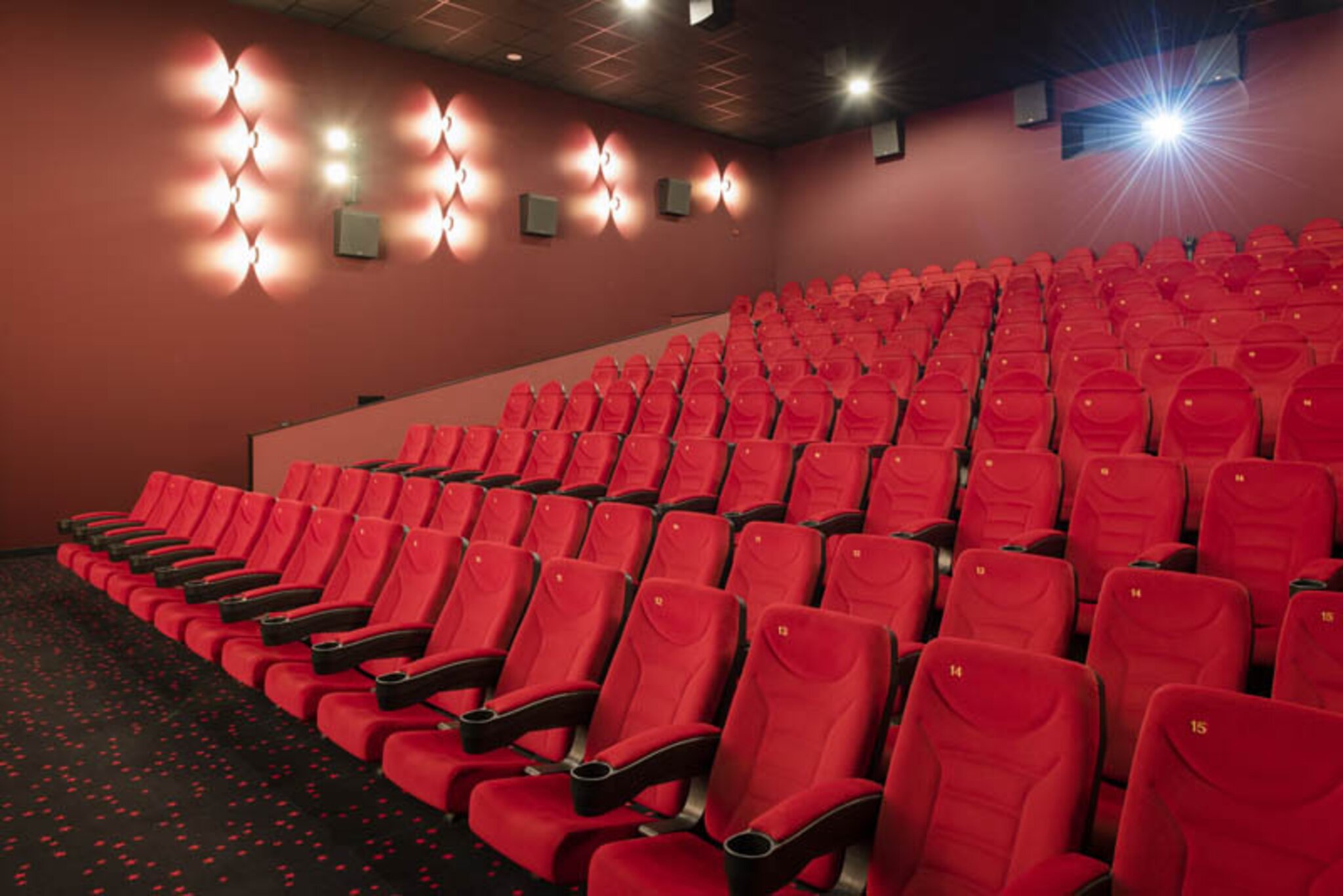 Maria Brendle mit ihrem Kurzfilm: Ein Goldjunge für den Hegau? - Singen