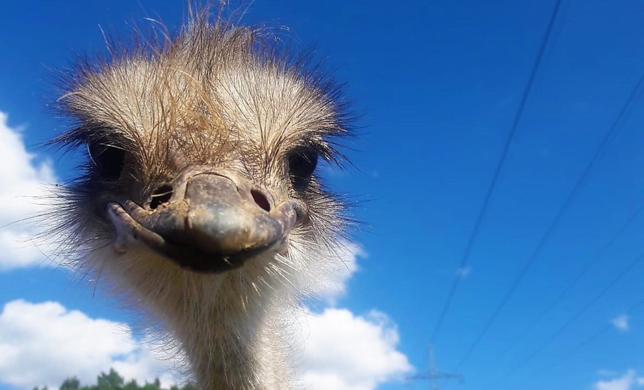 10 Jahre Pionierarbeit bei Airach: Jubiläum mit einem Hoffest auf der ...