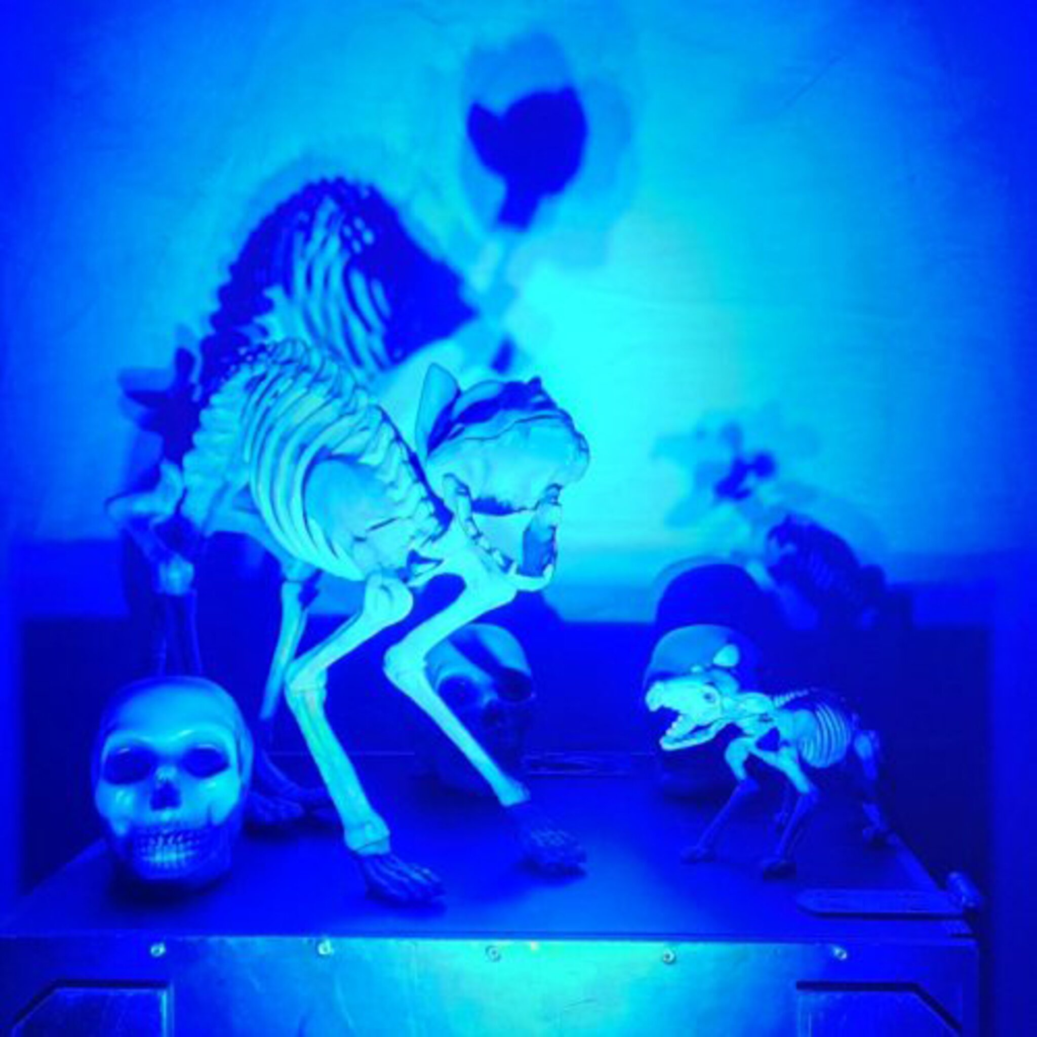 Jugendliche "Eventagentur" legt sich ins Zeug: Horror-Night in den ...