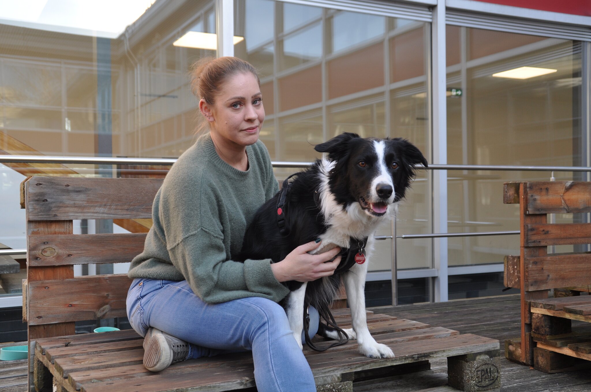 „Lehrer“ mit Fell und Schnauze: Wie Farkas den Unterricht am BSZ ...